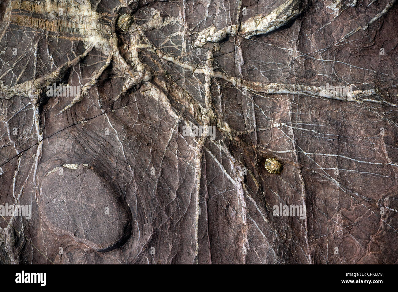 Geology hi-res stock photography and images - Alamy