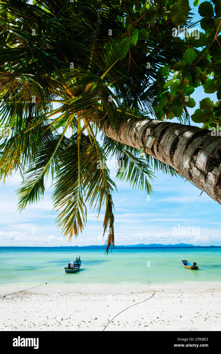 Tropical beach, vertical shot Stock Photo - Alamy