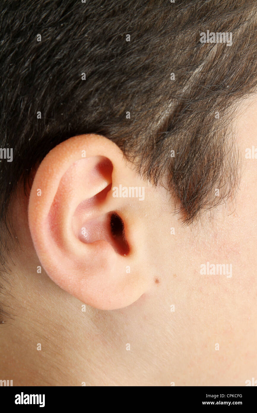 Picture of a child's ear Stock Photo - Alamy