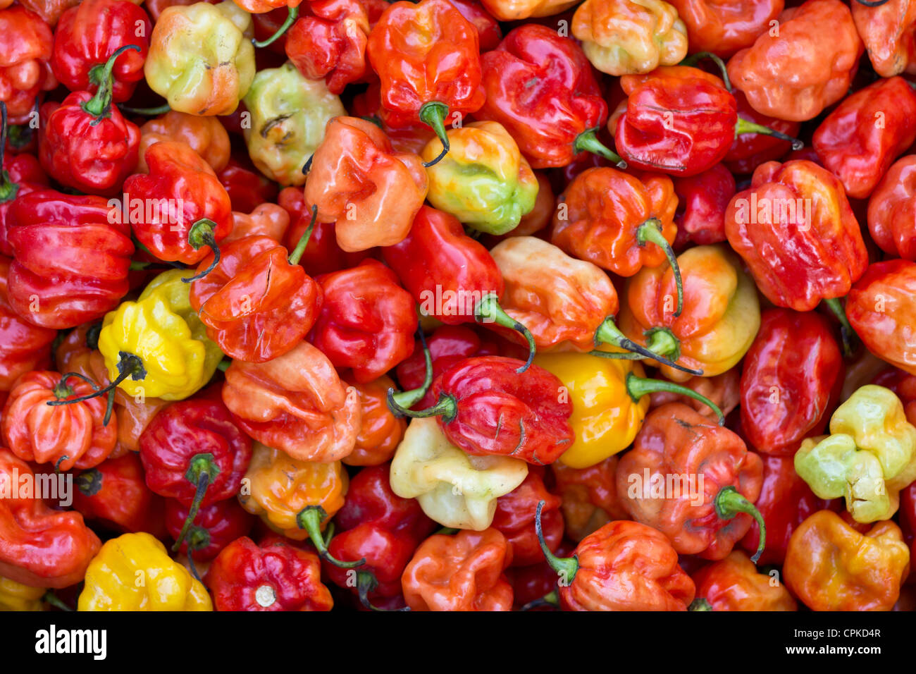 Red peppers london hi-res stock photography and images - Alamy