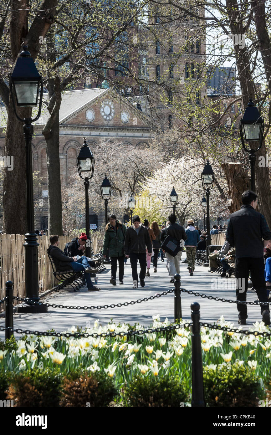 Springtime,Washington Square Park, NYC Stock Photo - Alamy