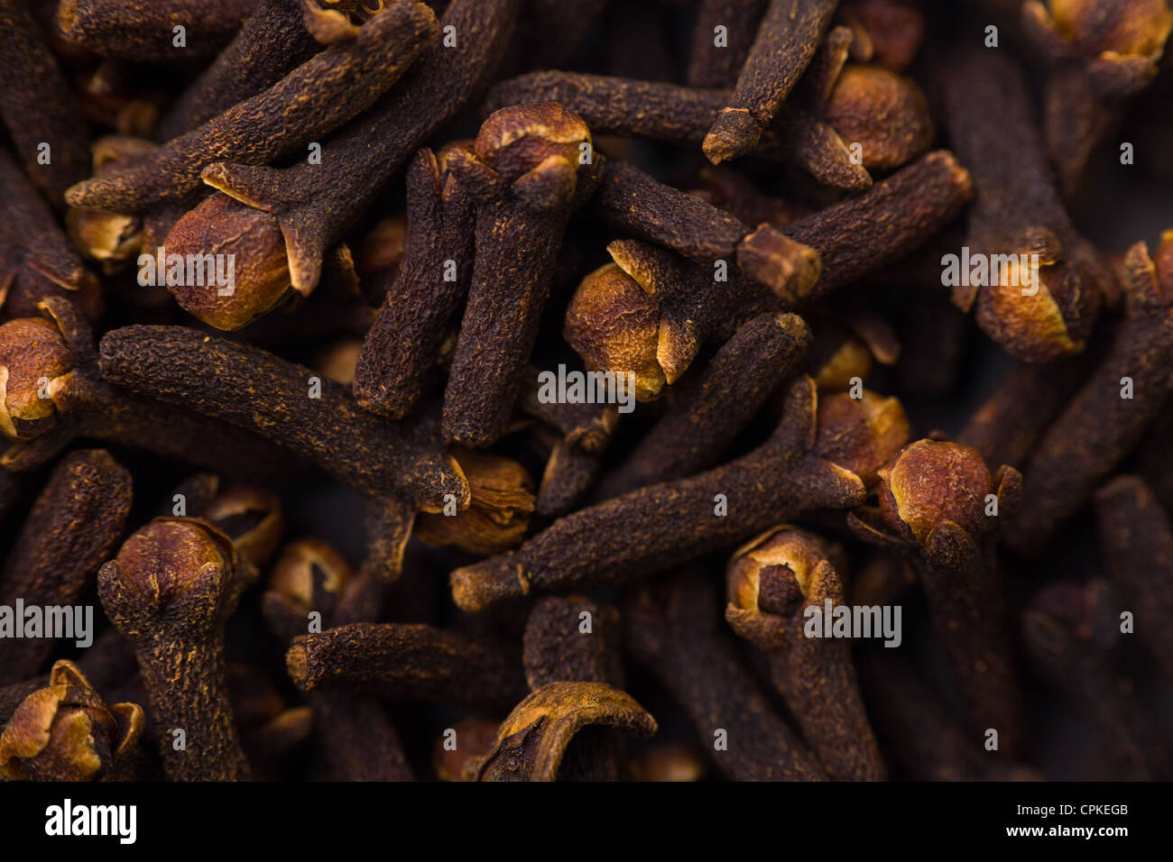 Closeup of clove Stock Photo - Alamy