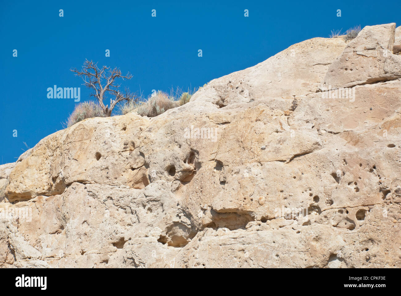 A lone tree stands atop a stone embankment Stock Photo - Alamy