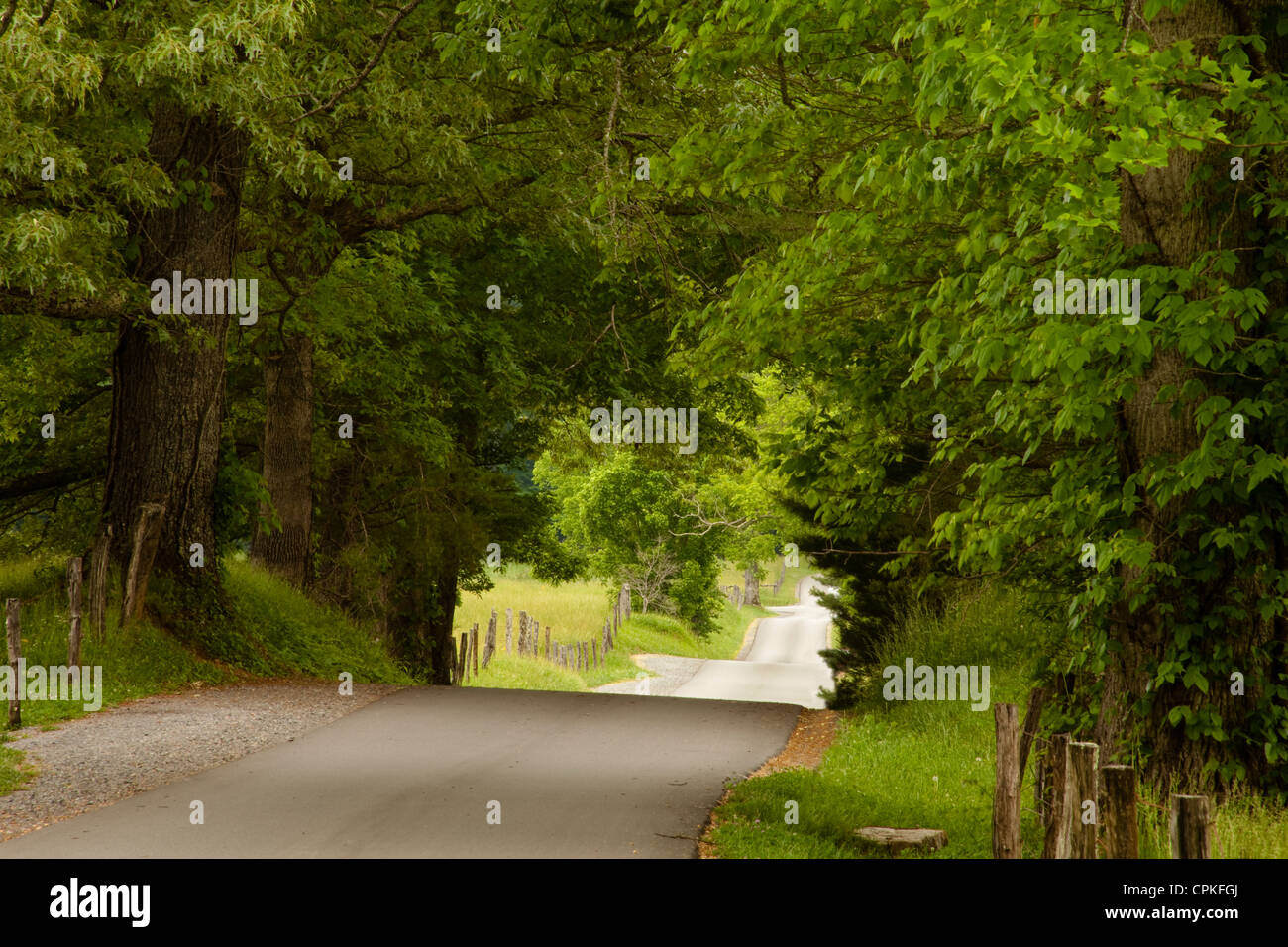 Cades cove loop road hi-res stock photography and images - Alamy