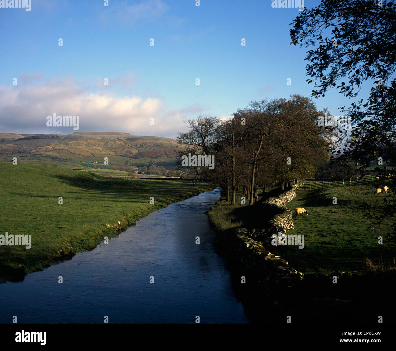 Austwick Beck with Studrigg Scar and Long Scar in the background winter ...