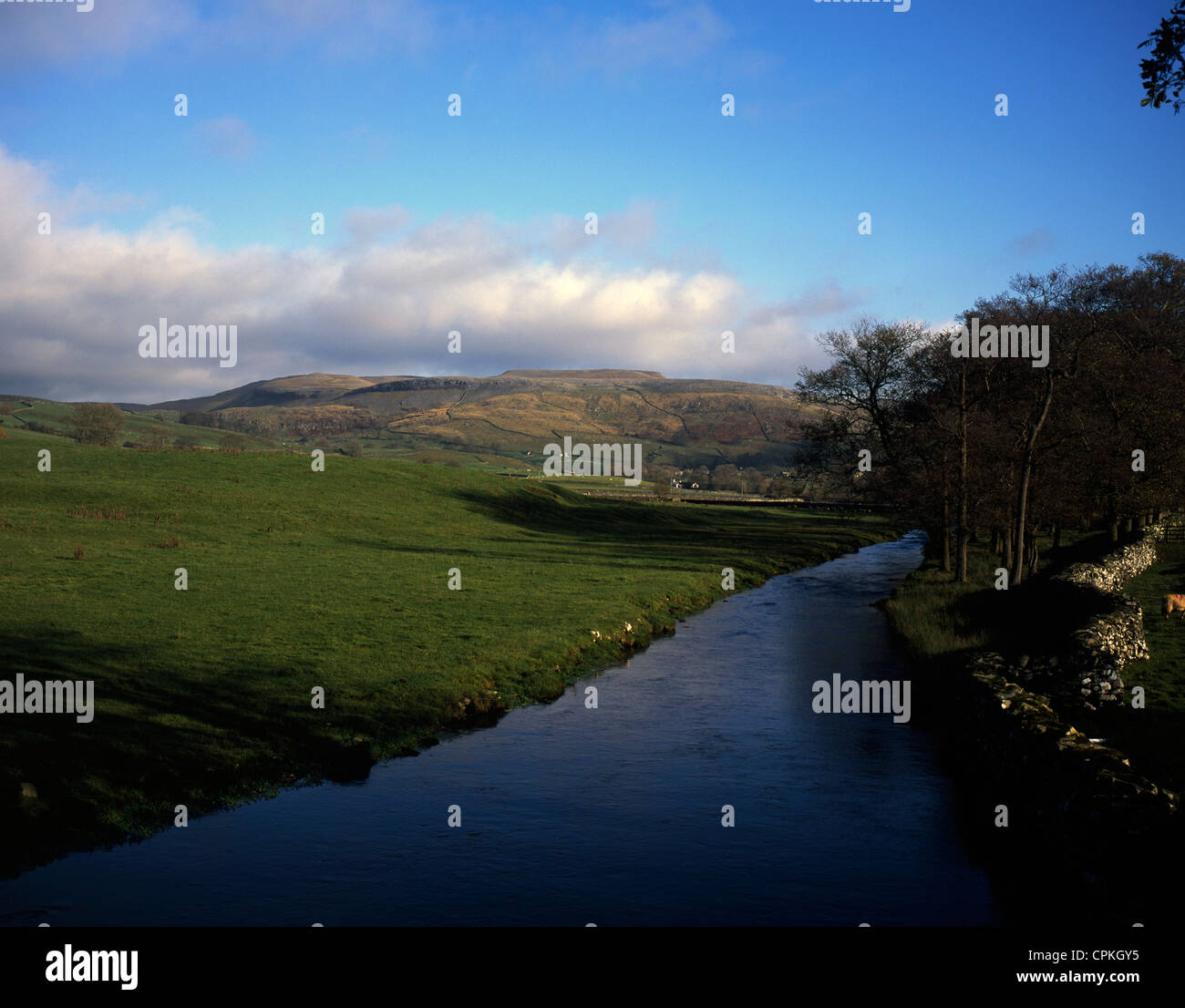 Austwick Beck with Studrigg Scar and Long Scar in the background winter ...