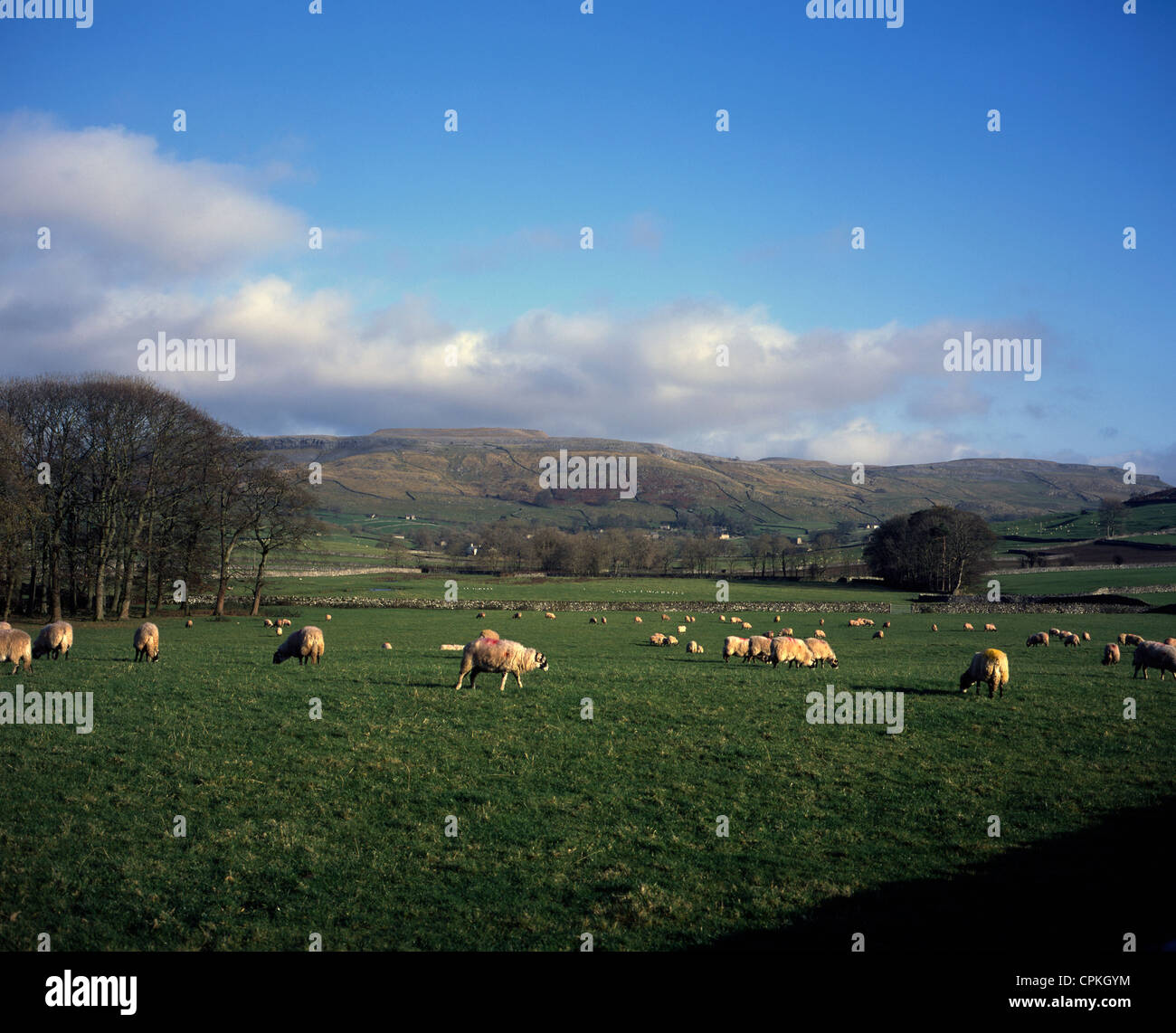 Studrigg scar hi-res stock photography and images - Alamy