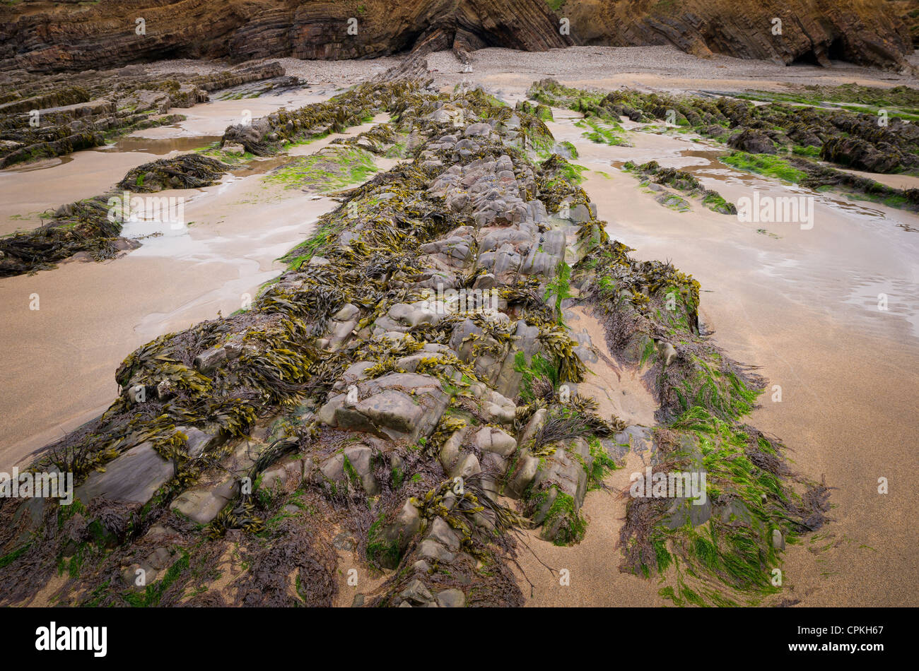 Bude Formation Sandstone High Resolution Stock Photography and Images ...
