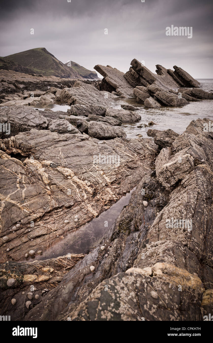 Coastal geology crackington haven cornwall hi-res stock photography and ...