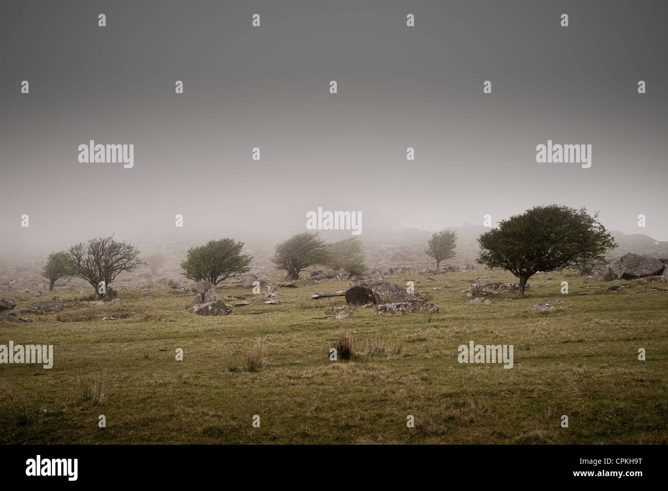 Bodmin Moor in Cornwall landscape Stock Photo - Alamy