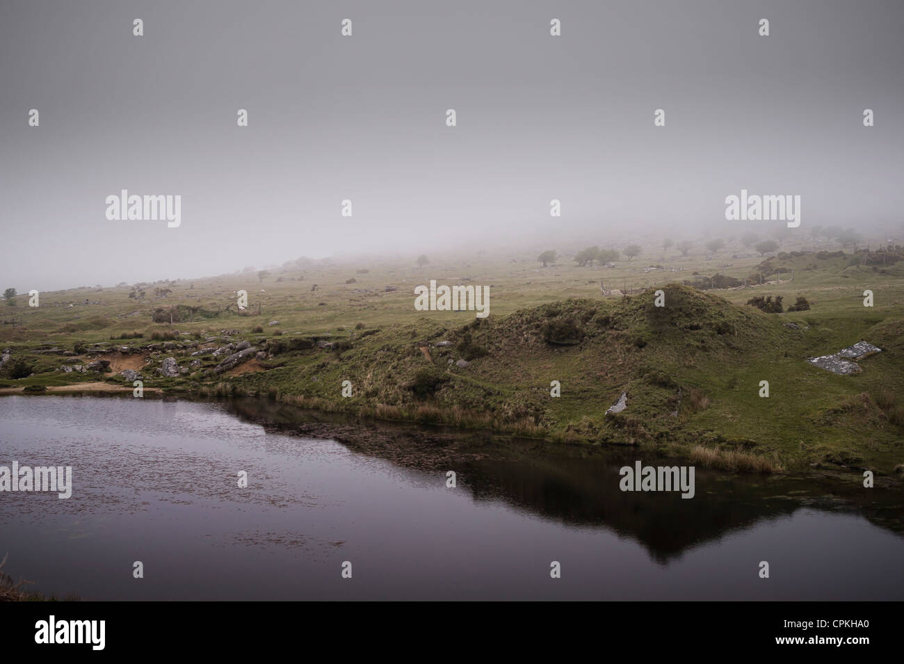 Bodmin Moor in Cornwall landscape Stock Photo - Alamy