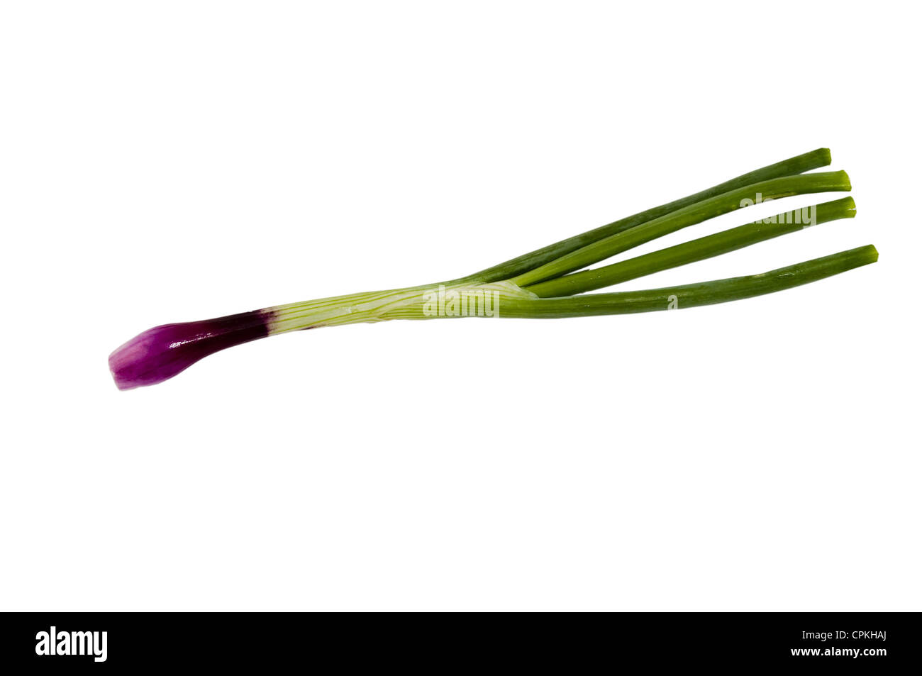spring red onion isolated on white background Stock Photo - Alamy