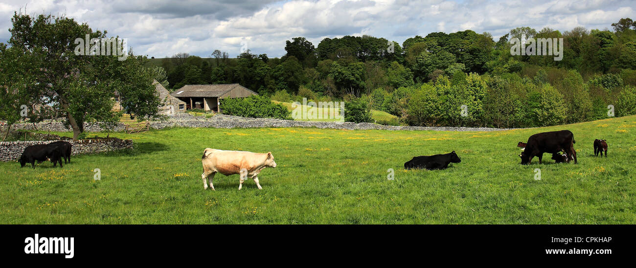 East haddon farm hi-res stock photography and images - Alamy