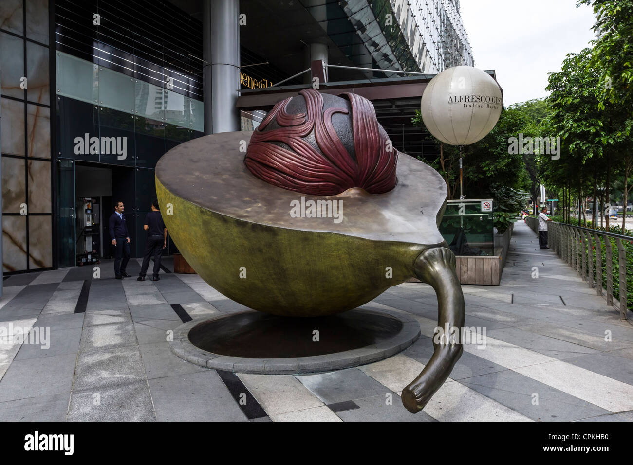 Nut orchard hi-res stock photography and images - Alamy
