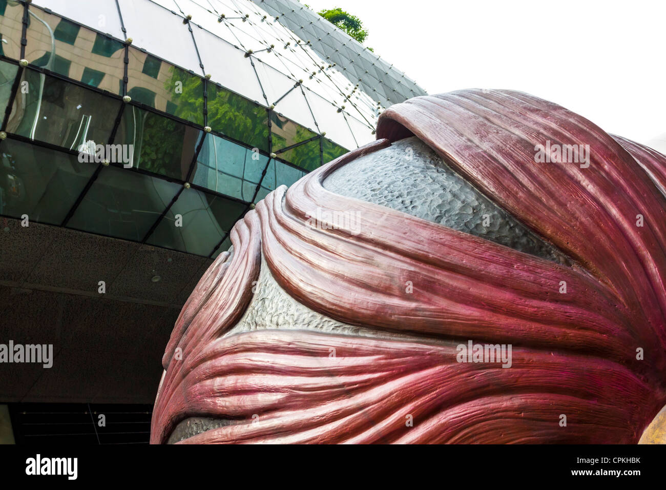 Nut statue at Ion centre on Orchard Road Singapore Stock Photo - Alamy