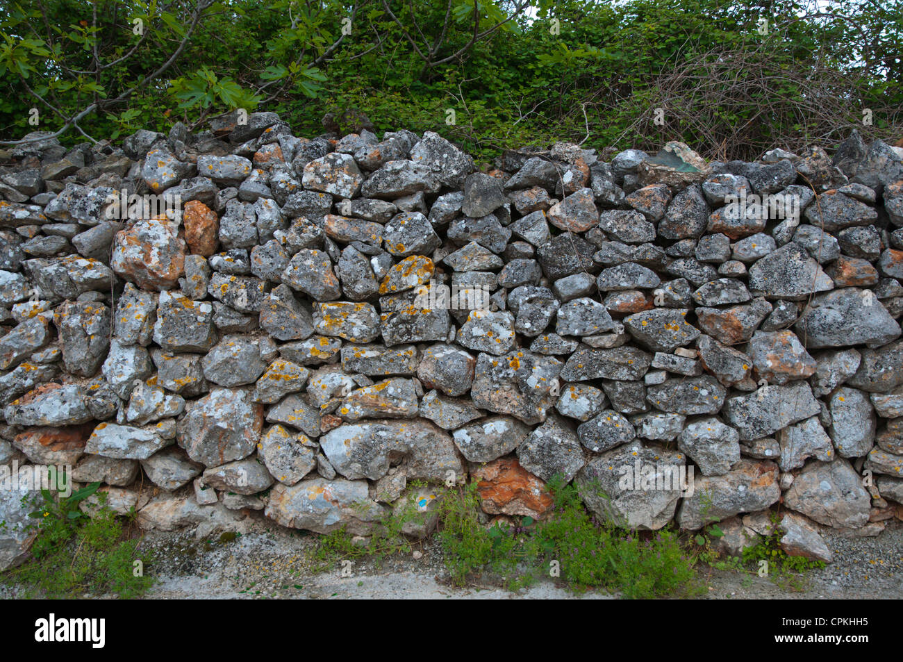 Dry stone walls that divide the ancient Greek style fields around Stari ...