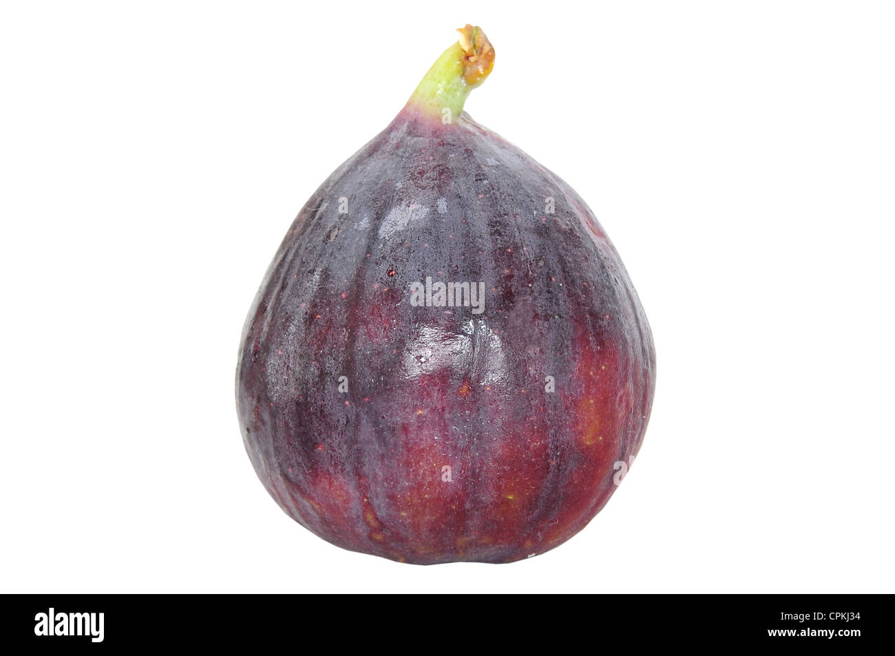 Closeup of fresh whole fig fruit isolated on white Stock Photo - Alamy