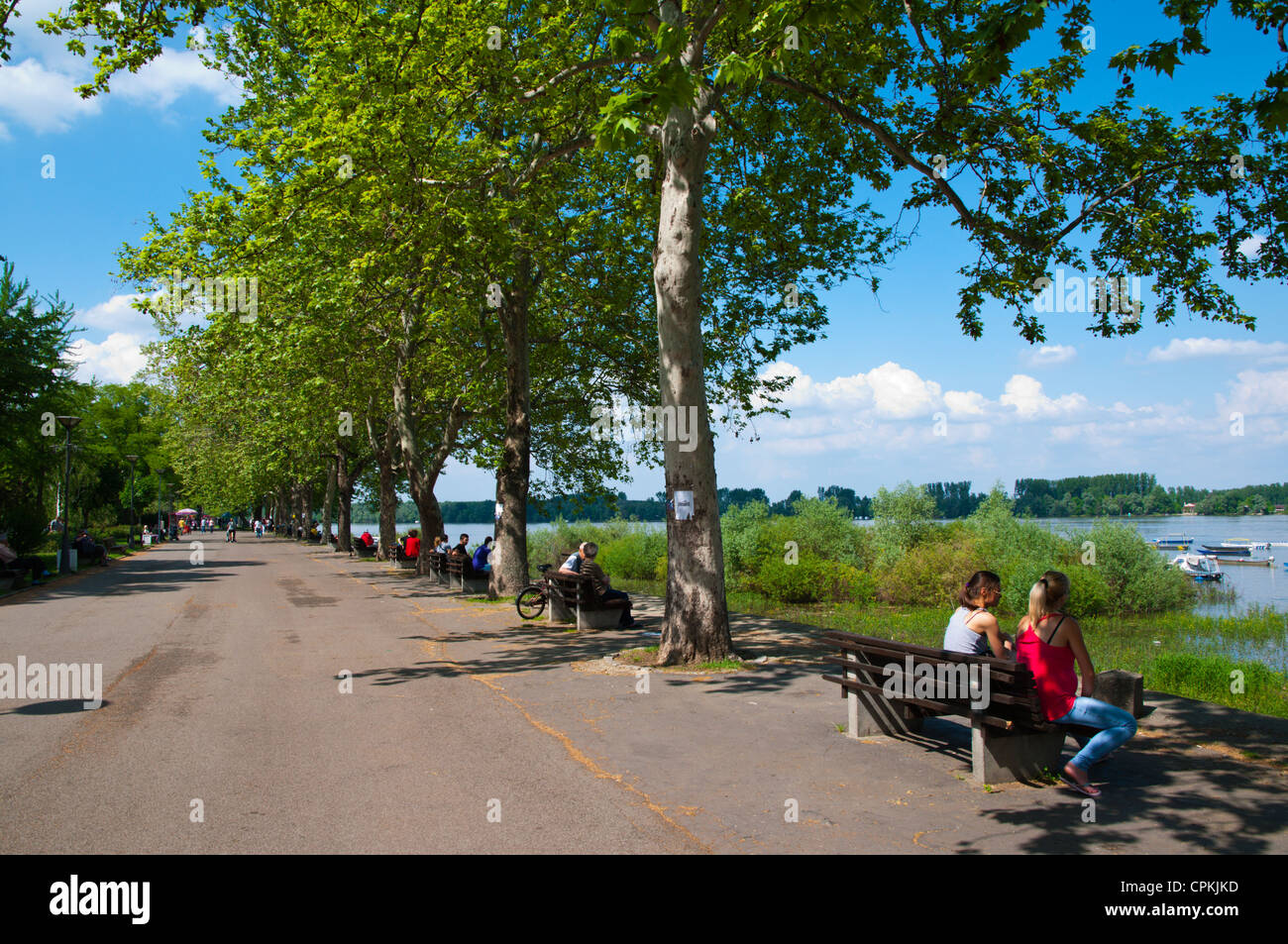 Zemunski kej riverside promenande Zemun area Novi Beograd district ...
