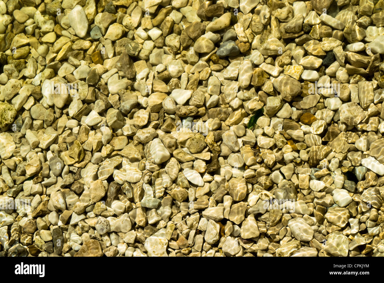 Texture of stones under water Stock Photo - Alamy