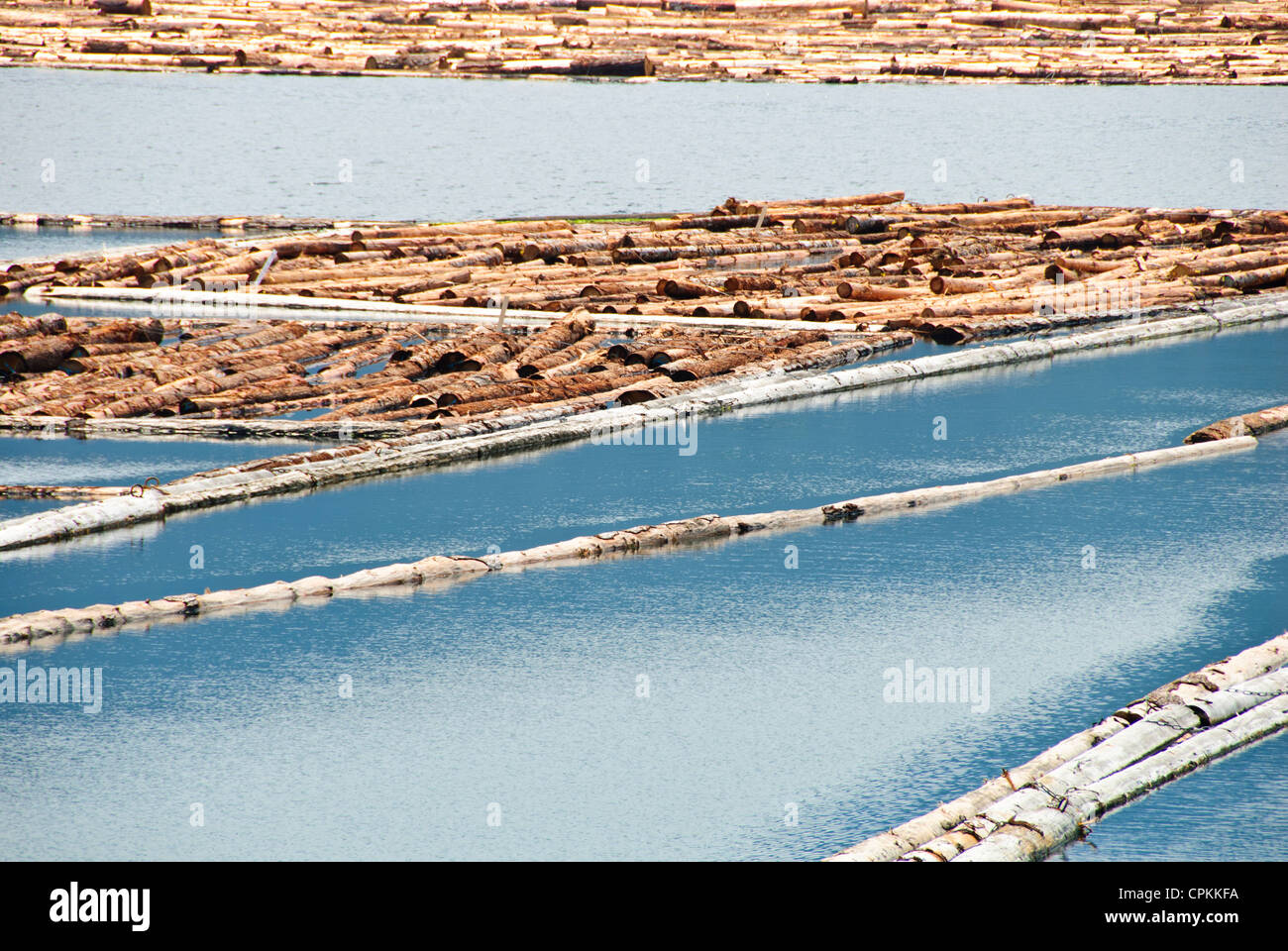 Logging,Forestry,Pulp & Paper Industry,Agriculture,Weekend,Recreational ...