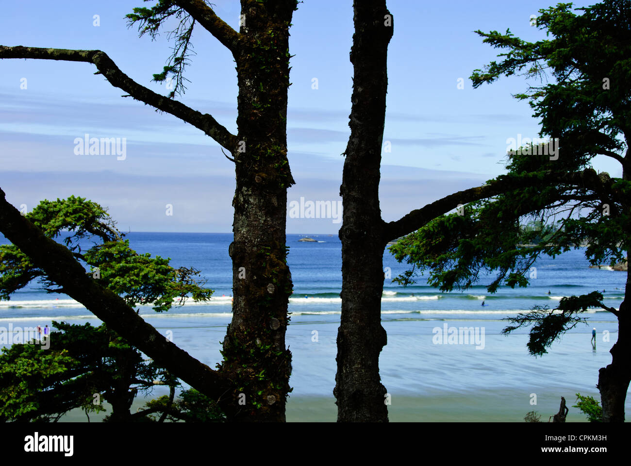 Storm watching vancouver island hi-res stock photography and images - Alamy