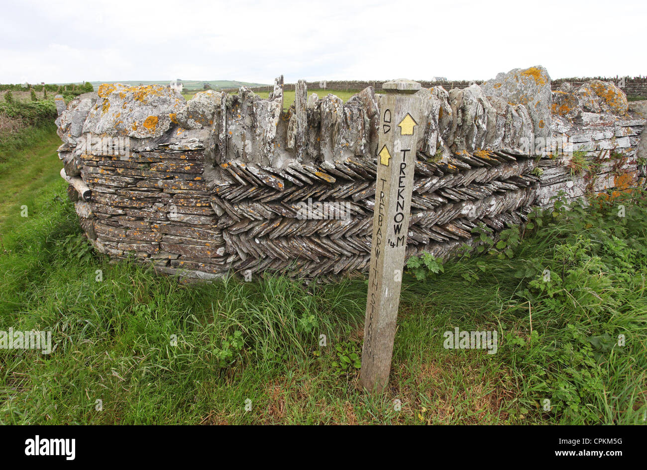 Cornish slate wall on the coastal path between Tintagel and Trebarwith ...