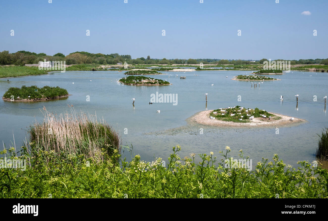 Titchfield Haven National Nature Reserve, Hampshire, England, UK Stock ...