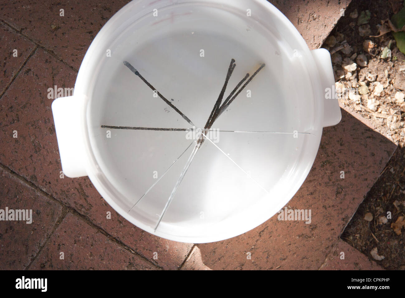Spent sparklers floating in a bucket of water, Fourth of July Stock ...