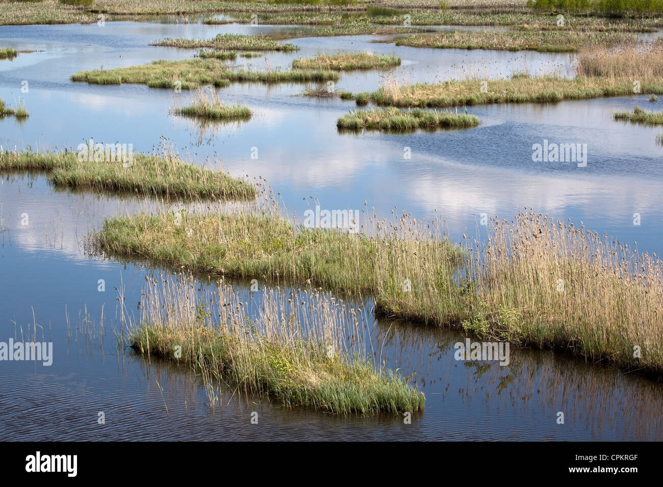 wet marsh view, Siikalahti Parikkala Finland Stock Photo - Alamy
