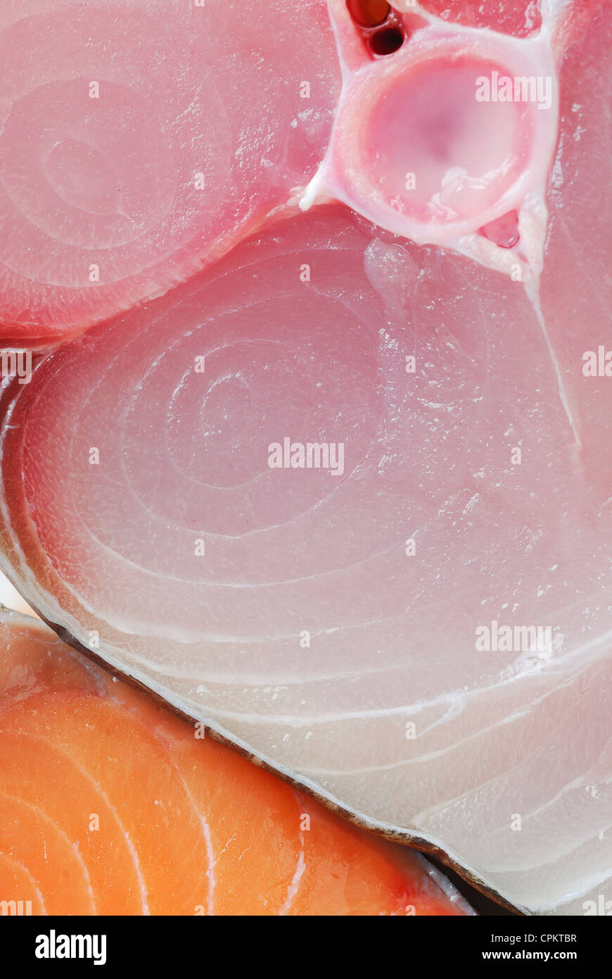 Fish cross section hi-res stock photography and images - Alamy