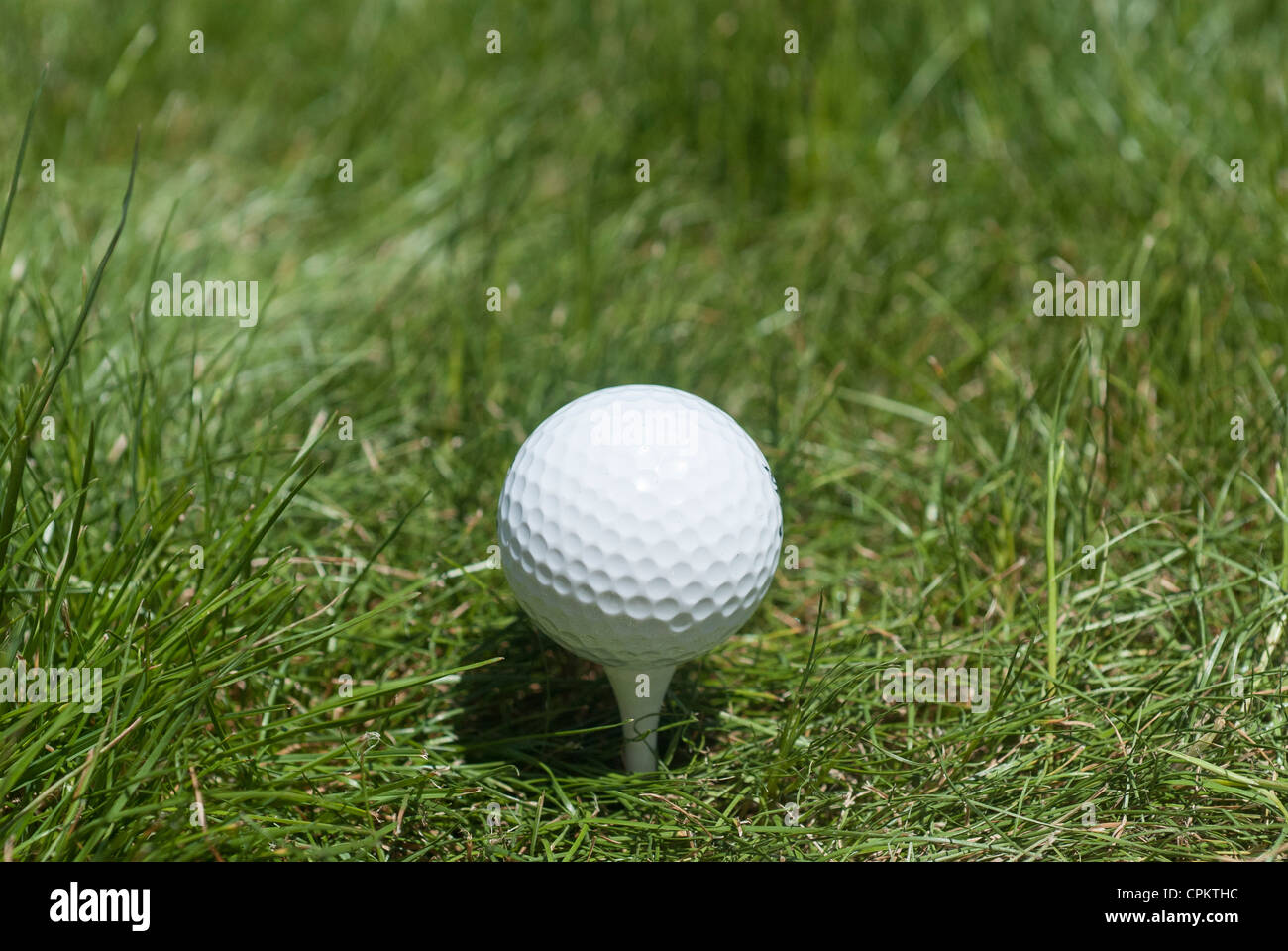 Golf ball on grass Stock Photo - Alamy