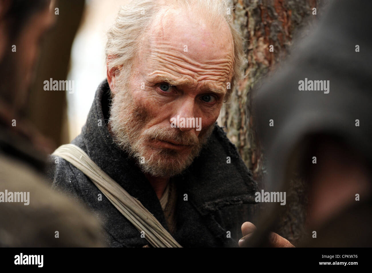 The Way Back Year : 2010 USA Director : Peter Weir Ed Harris Stock ...