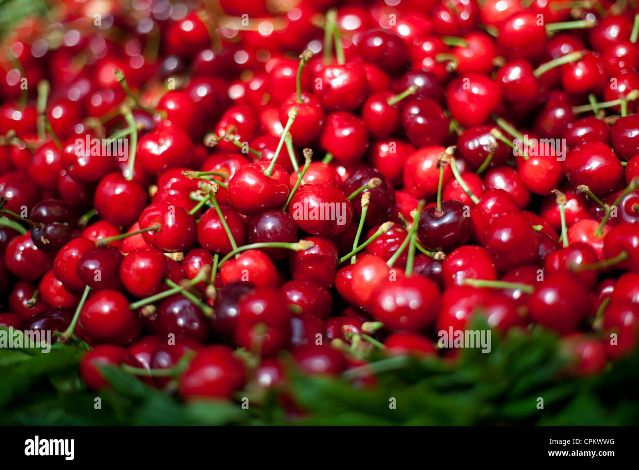 A bunch of organic cherries, Borough Market, London, England, UK Stock ...