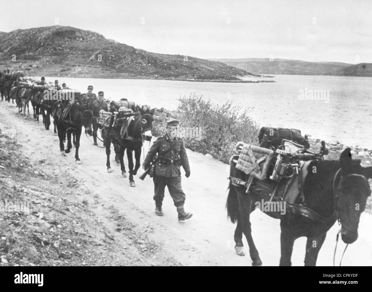 Column of German mountain troops on the Eastern Front, 1941 Stock Photo ...