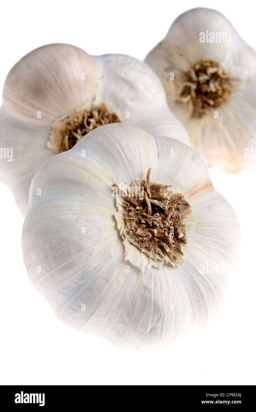 Garlic on a white background Stock Photo - Alamy