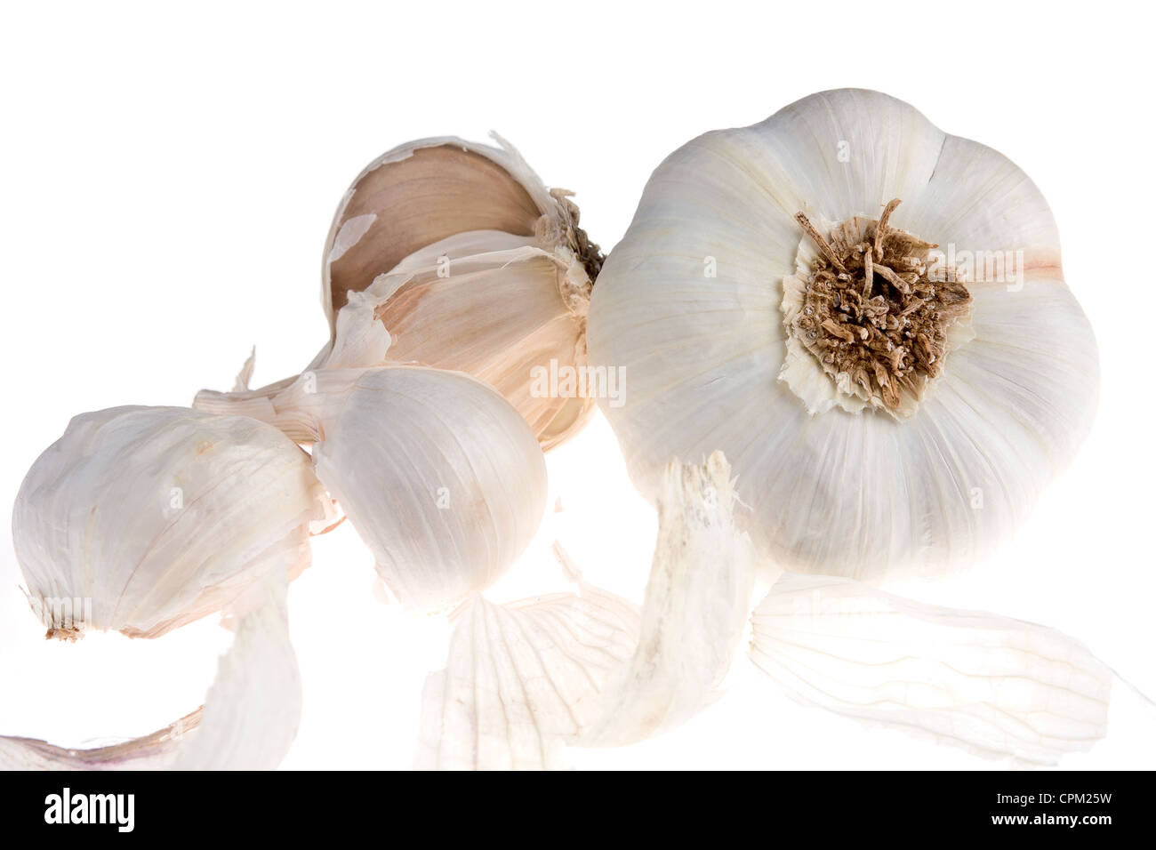 Garlic on a white background Stock Photo - Alamy