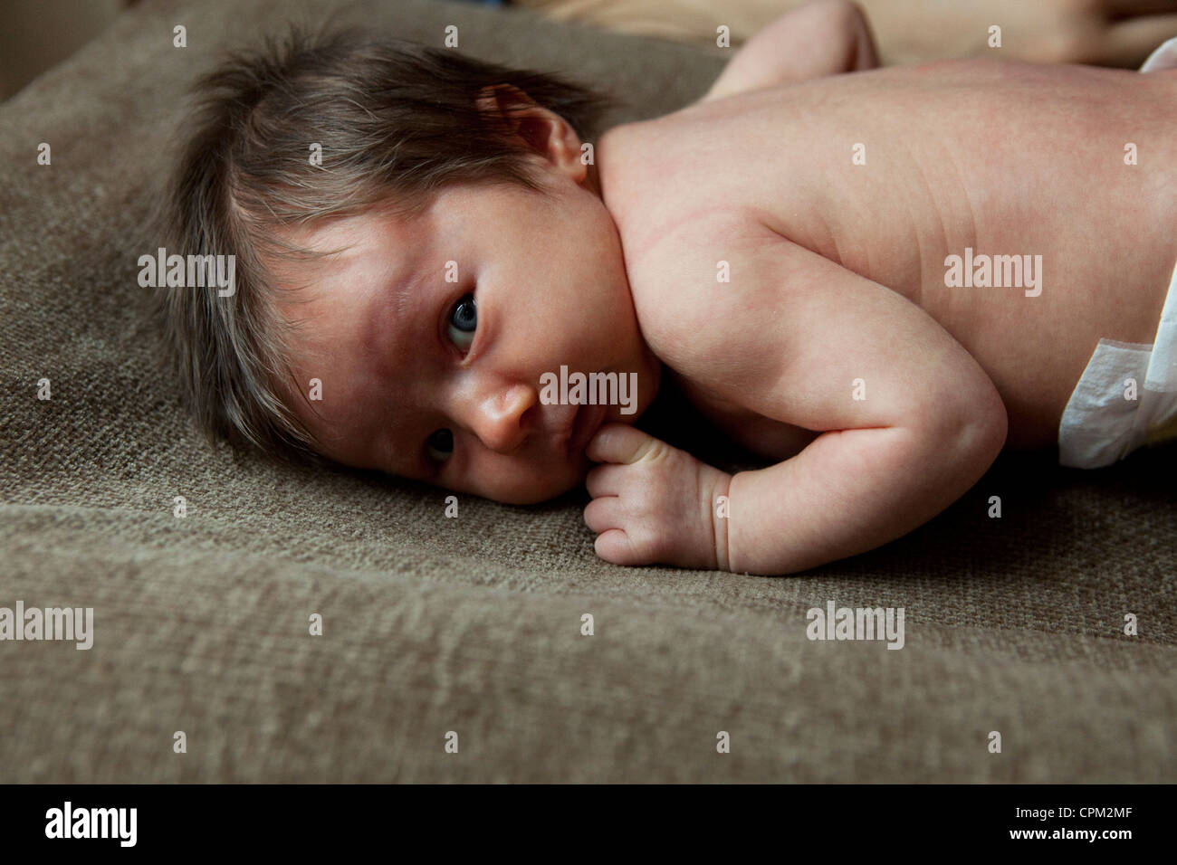 3 weeks old newborn baby hi-res stock photography and images - Alamy