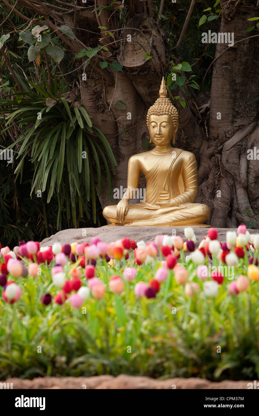 Tulip statue hi-res stock photography and images - Alamy