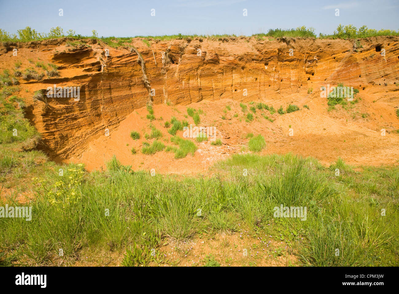Red crag rock deposits with shells and cross bedding exposed at a ...