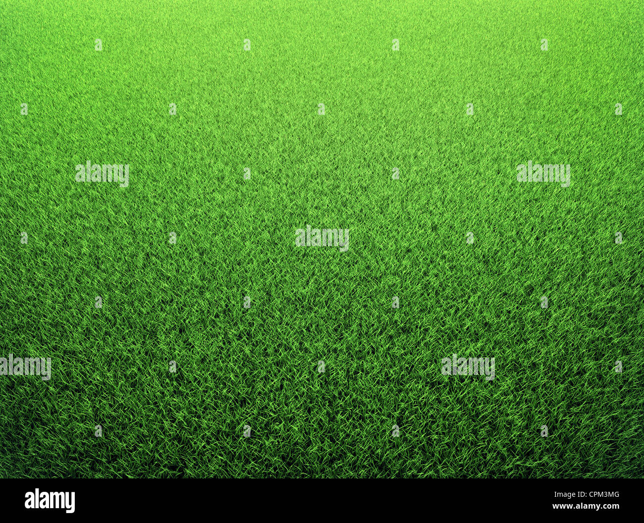 Grass background. Fresh green lawn. 3d render Stock Photo - Alamy