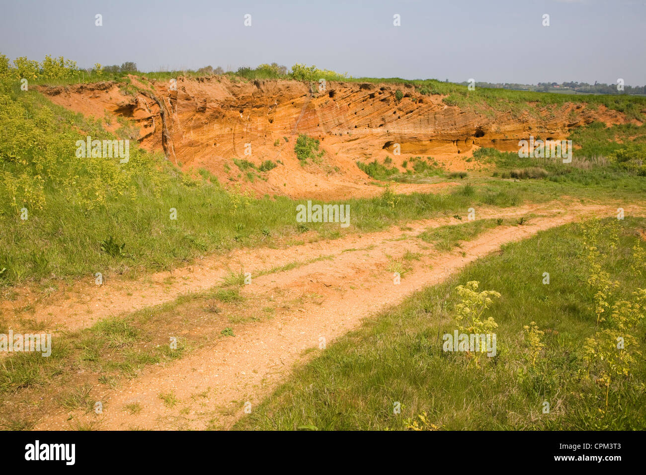 Red crag rock deposits with shells and cross bedding exposed at a ...