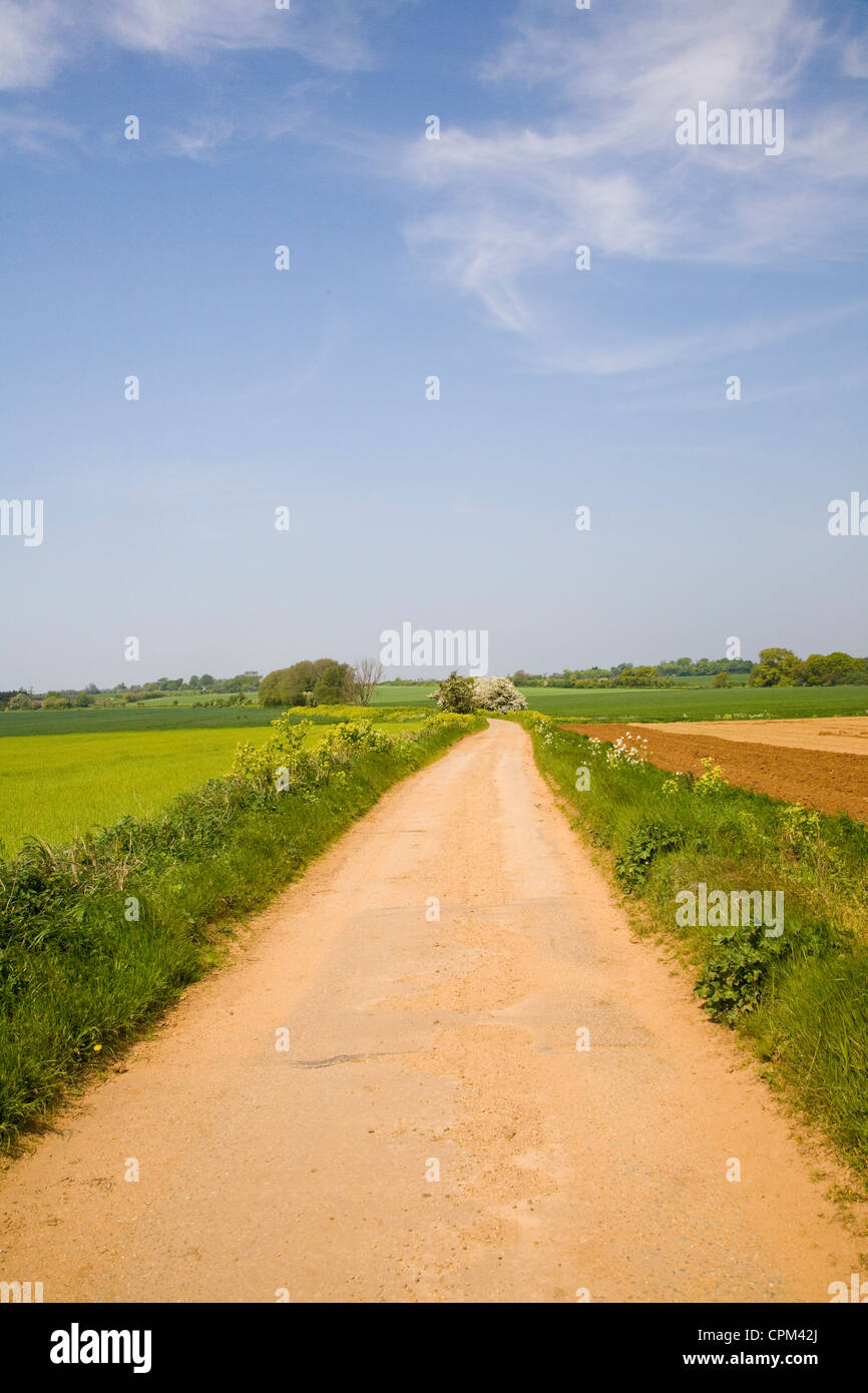 Country road going into the distance Stock Photo - Alamy