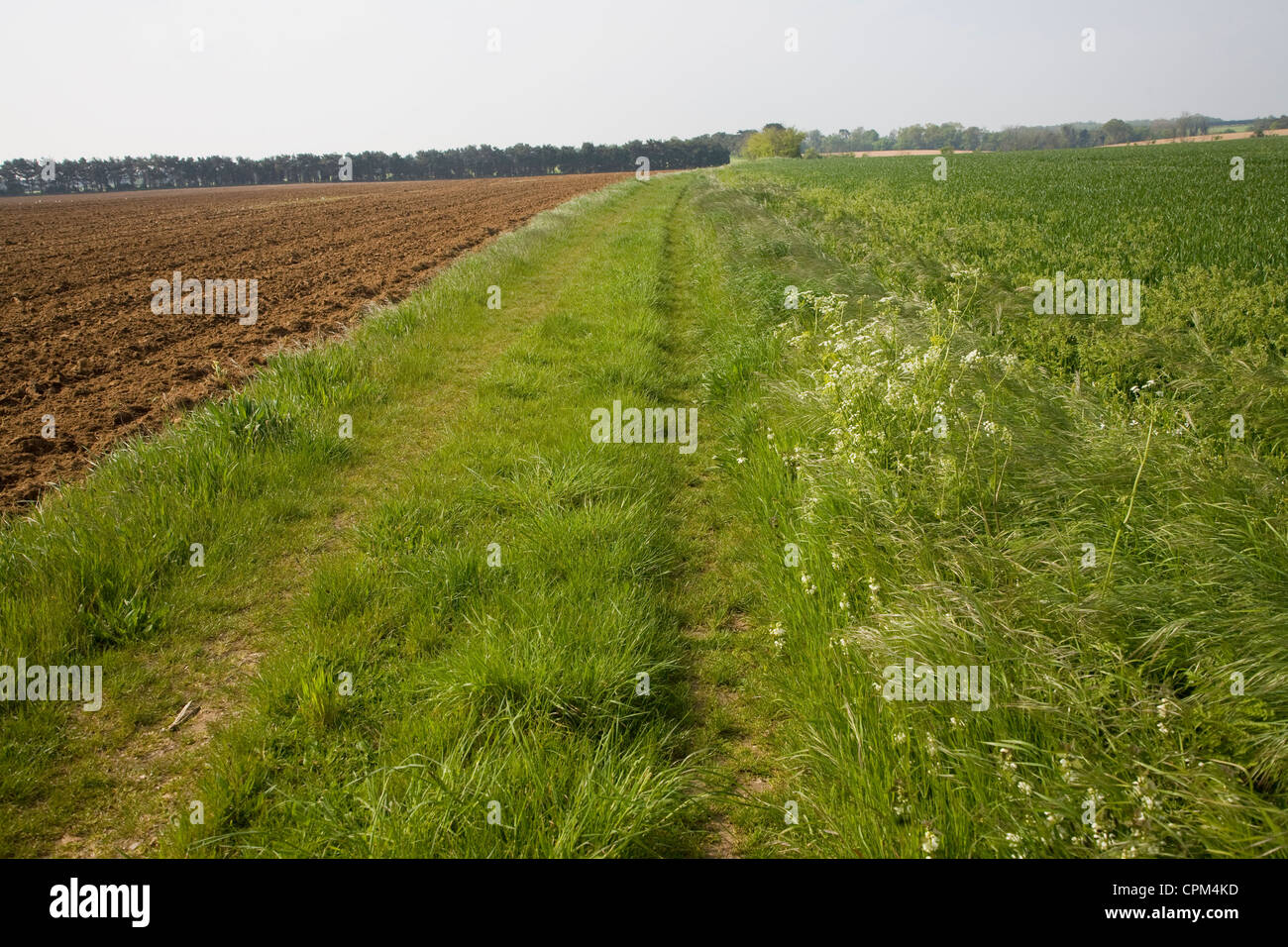 Grass track hi-res stock photography and images - Alamy