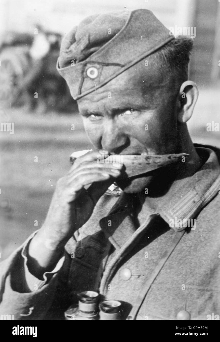 German soldier on the Eastern Front, 1942 Stock Photo - Alamy