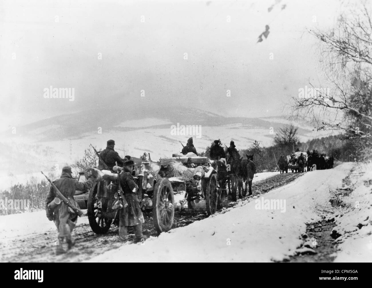 German Artillery Eastern Front High Resolution Stock Photography and ...