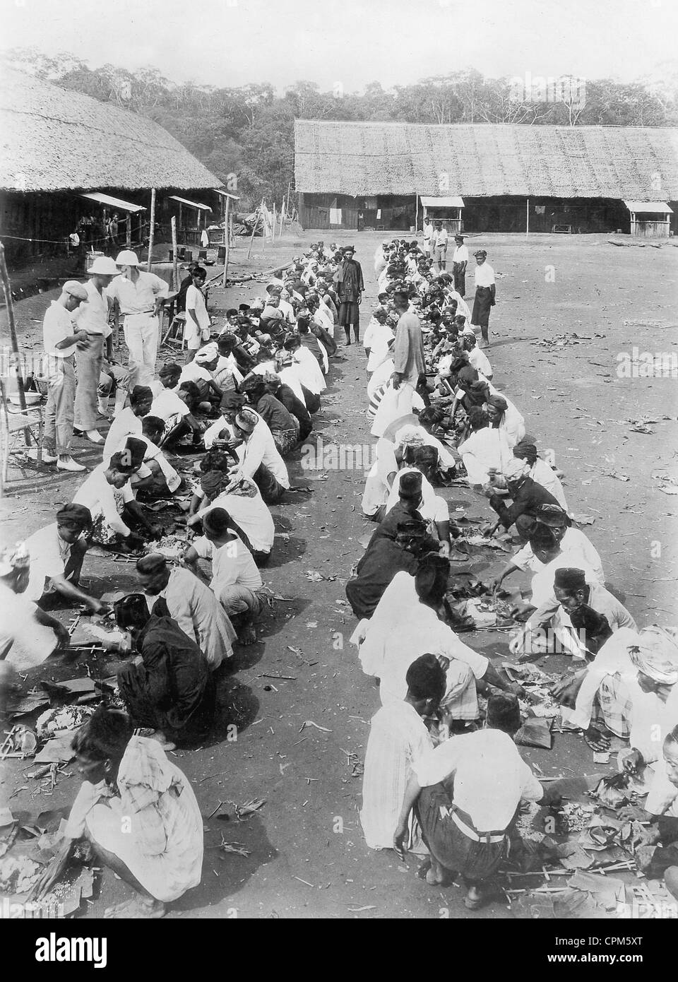 Workers on a rubber plantation, 1937 Stock Photo - Alamy