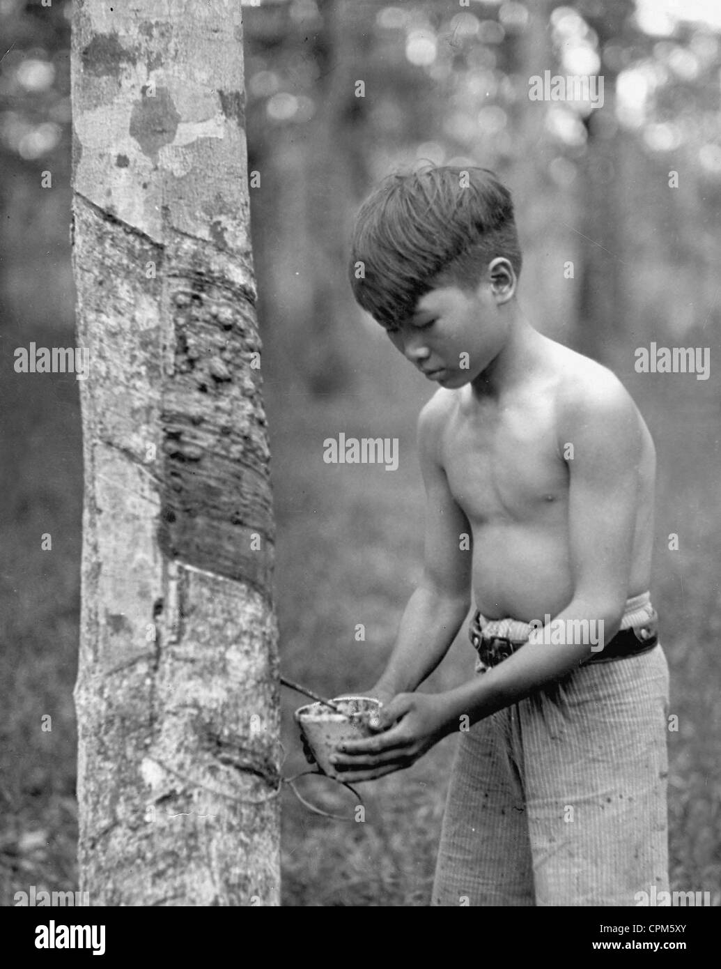 Collecting rubber on Malaysia, 1935 Stock Photo - Alamy