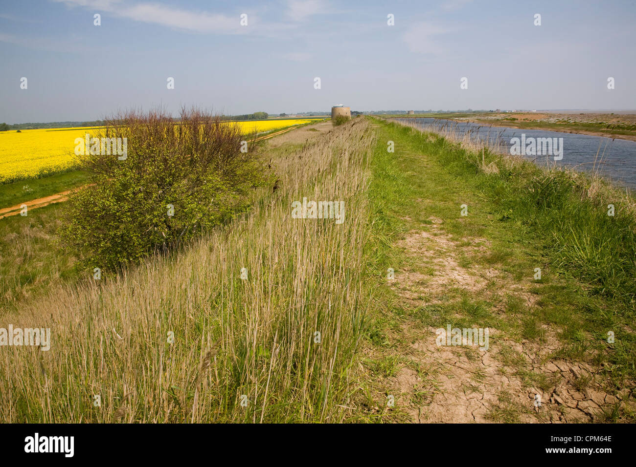 Coastal footpath Hollesley Bay, Alderton, Suffolk, England Stock Photo ...
