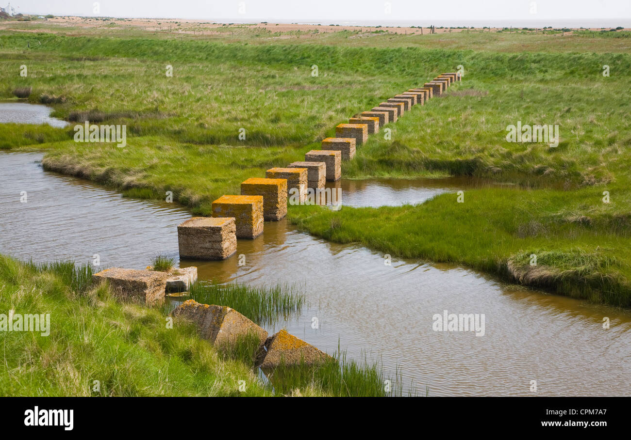 Concrete block tank traps form stepping stones across wetland marsh on ...
