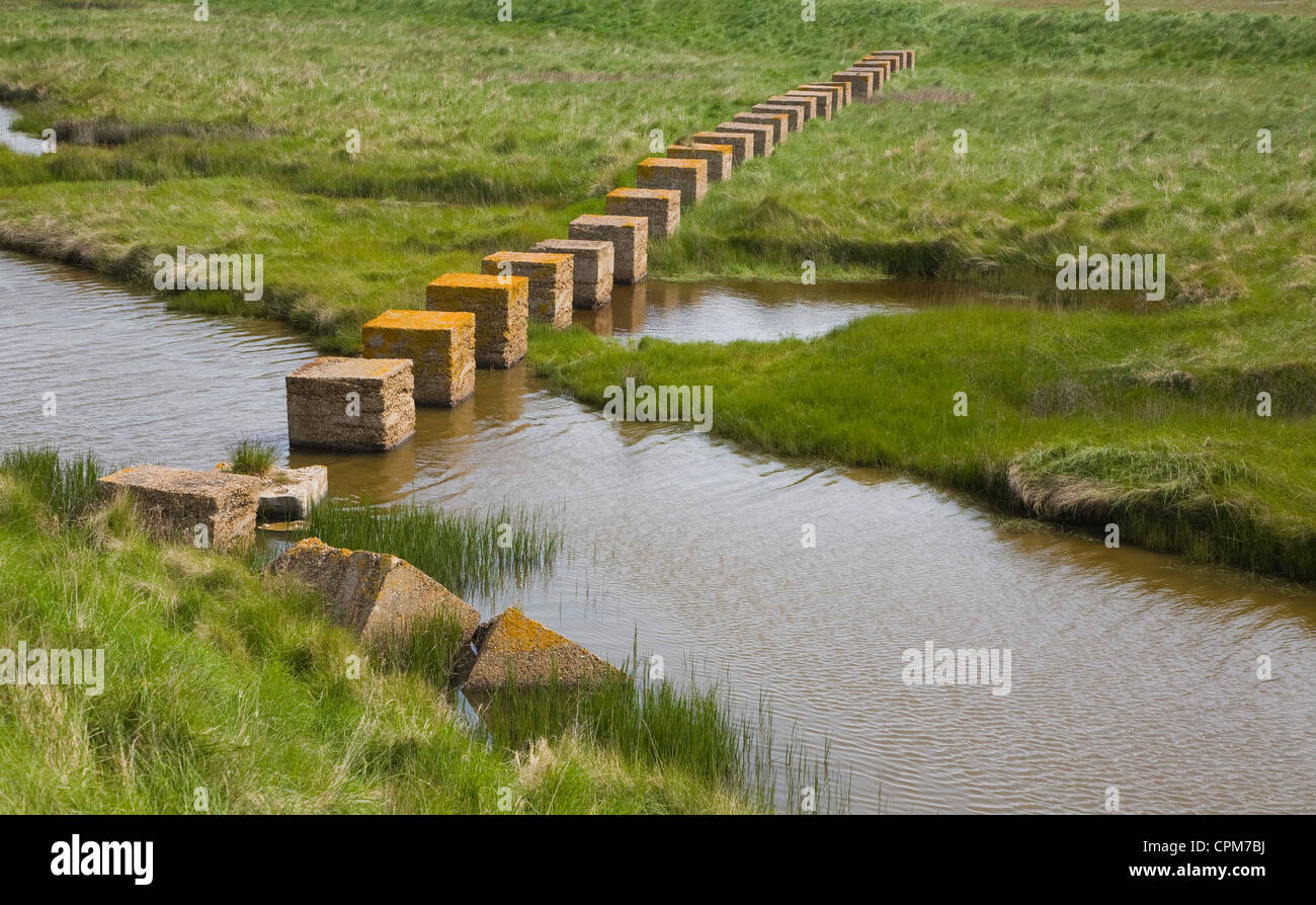 Concrete block tank traps form stepping stones across wetland marsh on ...